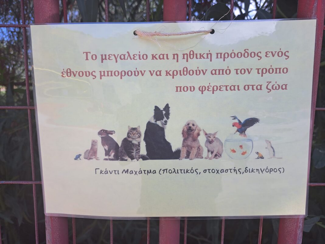 Παγκόσμια Ημέρα των Ζώων: Μια πολύ όμορφη διαθεματική πρωτοβουλία του ...
