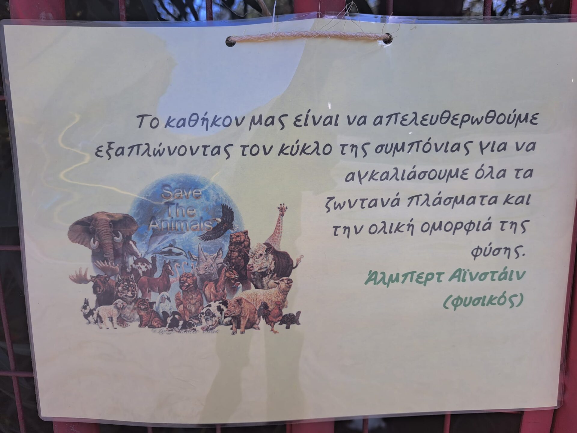 Παγκόσμια Ημέρα των Ζώων: Μια πολύ όμορφη διαθεματική πρωτοβουλία του ...