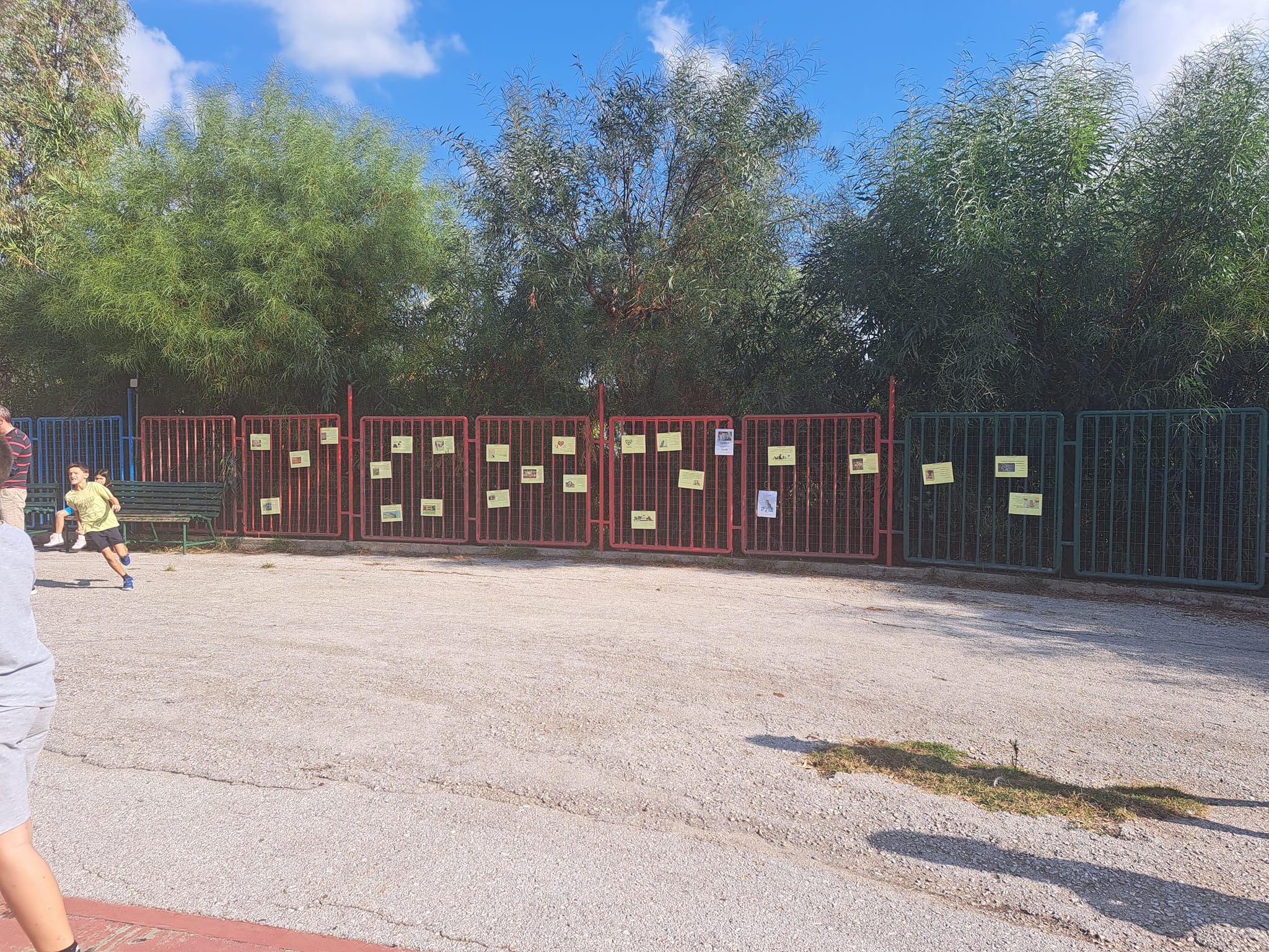 Παγκόσμια Ημέρα των Ζώων: Μια πολύ όμορφη διαθεματική πρωτοβουλία του ...